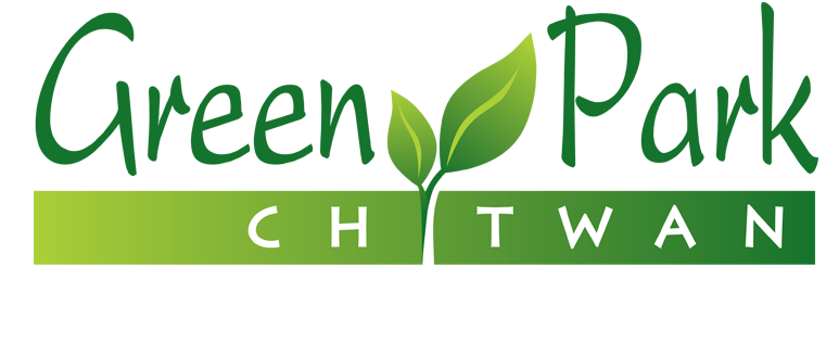 Makura Creations | Leading IT Company | You Dream, We Weave